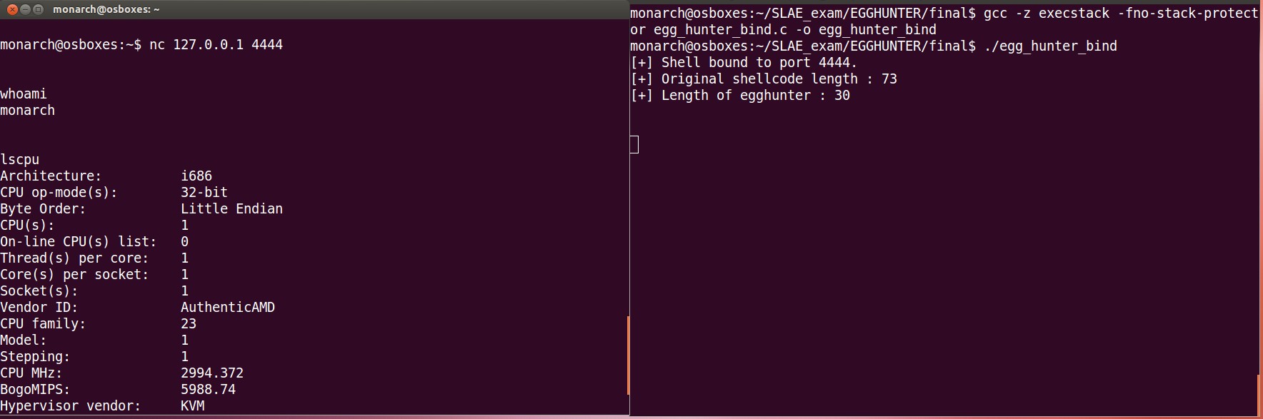 Writing a Reverse Shell in x86 Assembly Language – badbit